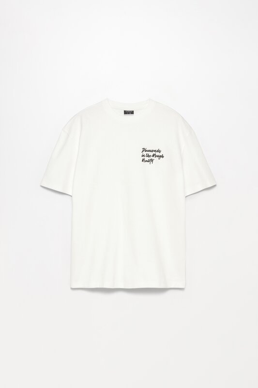 Camisetas estampadas de hombre | Lefties Nueva Colección