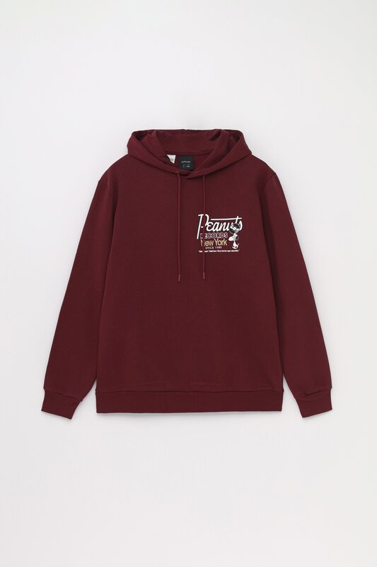 Sudadera capucha Peanuts™ - Sudaderas Estampadas - Sudaderas - ROPA ...